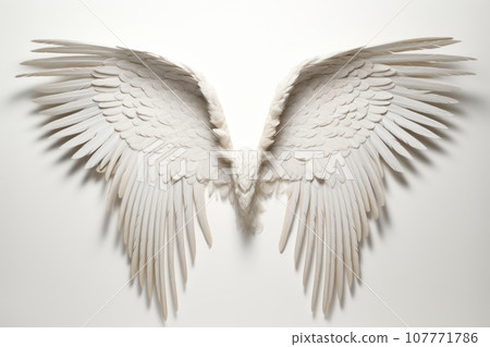 Realistic Angel Wings Painting