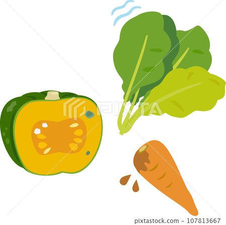 Vegetables that are wilted or moldy - Stock Illustration [107813667 ...