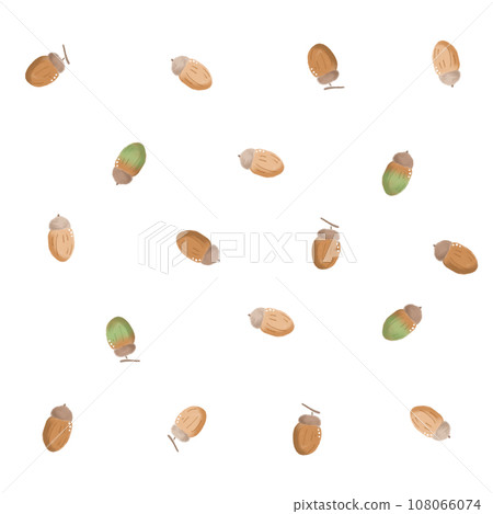 Various acorns - whole - Stock Illustration [108066074] - PIXTA