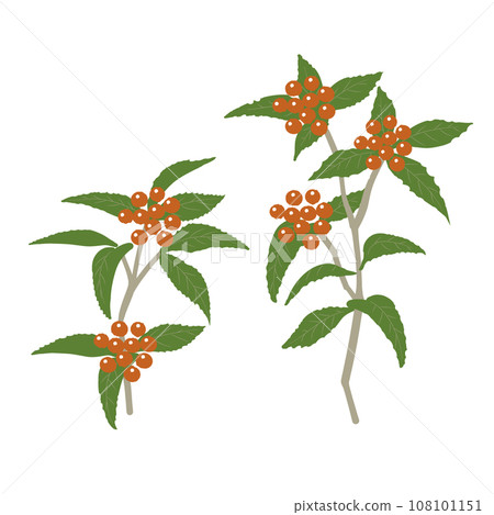 Senryo illustration 2 - Stock Illustration [108101151] - PIXTA