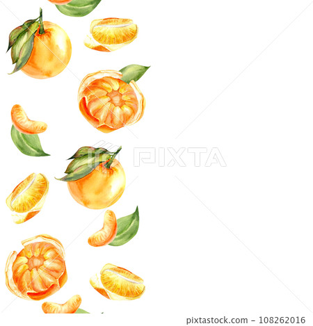 Watercolor orange tangerines seamless border.... - Stock Illustration [108262016] - PIXTA