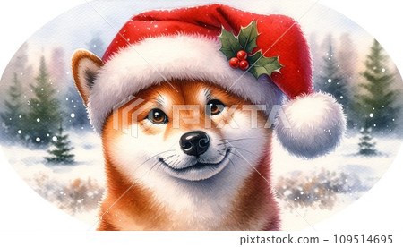 Shiba Inu wearing a Santa hat - Stock Illustration [109514695] - PIXTA