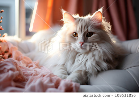Fluffy white cat relax on a cozy sofa at home - Stock Illustration ...