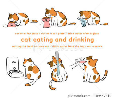 Illustration set of calico cat eating and drinking - Stock Illustration ...