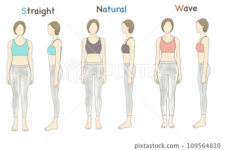 Asian women's common body types illustration set - Stock Illustration ...