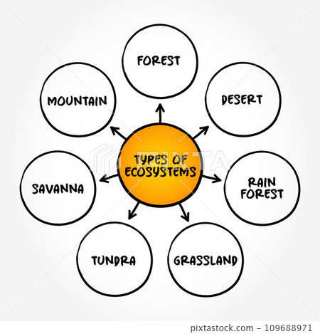 Forest Ecosystem Diagram Phenology: Unveiling Climate Change Impacts