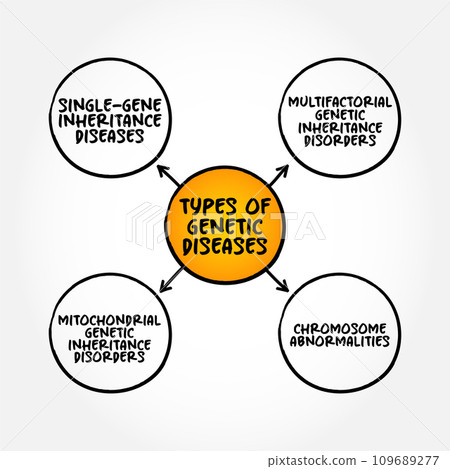 Types Of Genetic Disorders Point Mutations And Their Effects | Algor
