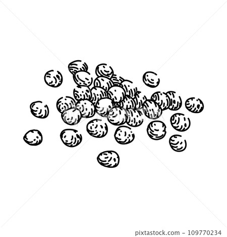 healthy millet sketch hand drawn vector - Stock Illustration [109770234 ...