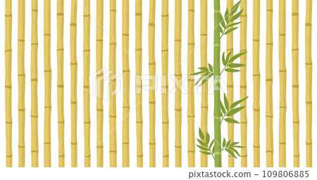 Bamboo forest pattern. Dry bamboo stalks and... - Stock Illustration ...