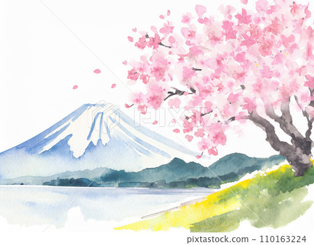 Japanese Cherry Blossom Drawing
