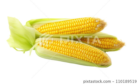 Corn on the transparent background - Stock Illustration [110189519] - PIXTA