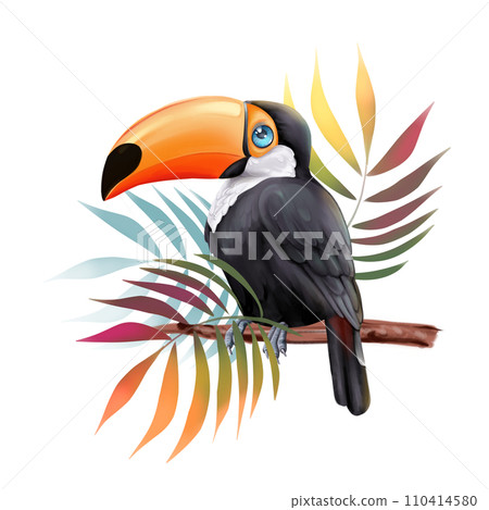 Toucan bird illustration. Tropical rainforest... - Stock Illustration ...