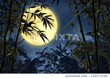 Forest Full Moon Night Sky Supermoon, Forest, Sky, Branch, Tree,