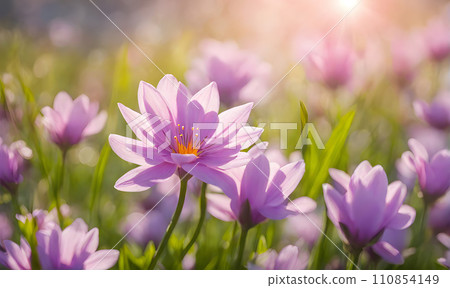 Sunny spring field: Vibrant flowers under the sun - Stock Illustration ...