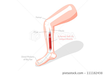 3D Isometric Flat Conceptual Illustration of... - Stock Illustration ...