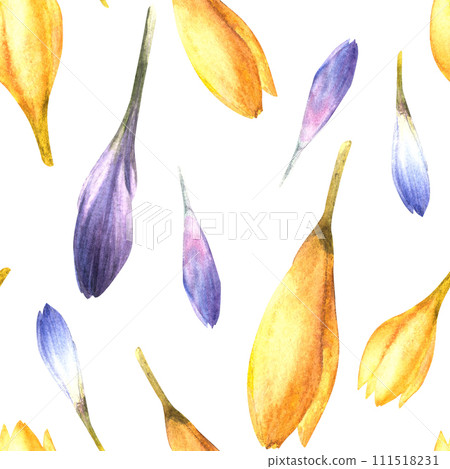 Watercolor early spring primary flowers Blue,... - Stock Illustration ...