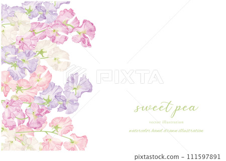 Suitopi 水彩畫插圖背景資料-插圖素材 [111597891] - PIXTA圖庫