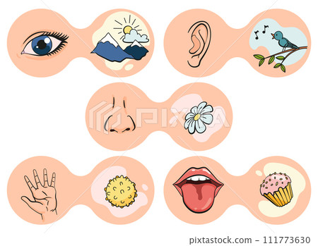 Five Senses Cartoon Five Senses Kids Vector Art, Icons, And Graphics