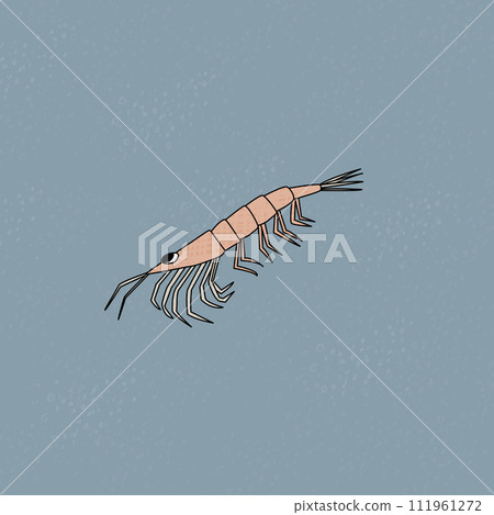 Krill Drawing Antarctic Krill Shrimp Goes Icon Vector Illustration,