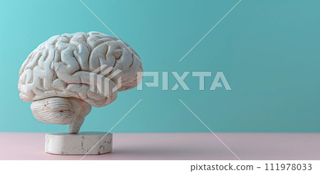 Human Brain Model Made of White Marble. Soft...-插圖素材 [111978033] - PIXTA圖庫