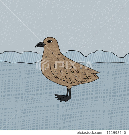 Skua bird is on the snow. Vector hand drawn... - Stock Illustration ...