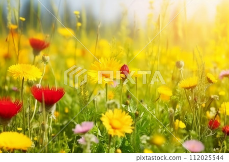 Beautiful bright meadow on a sunny spring day.... - Stock Illustration ...