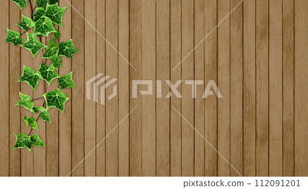 wooden board and ivy - Stock Illustration [112091201] - PIXTA