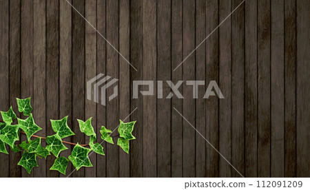 wooden board and ivy - Stock Illustration [112091209] - PIXTA