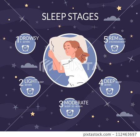 Sleep stages. Sleeping cycle routine science...-插圖素材 [112463697] - PIXTA圖庫