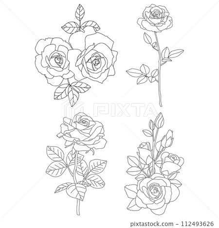 set of roses minimal line drawing png - Stock Illustration [112493626 ...