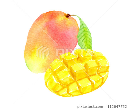 Mango painted in watercolor - Stock Illustration [112647752] - PIXTA