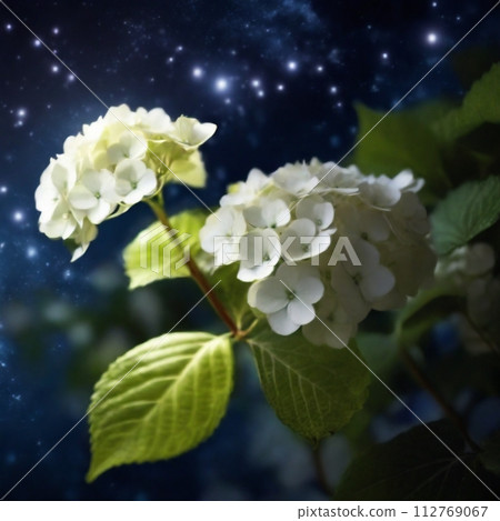A very white hydrangea flower floating in the... - Stock Illustration ...