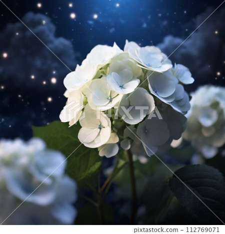 A very white hydrangea flower floating in the... - Stock Illustration ...