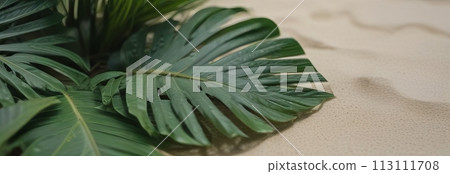The detailed texture of the monstera leaf lies... - Stock Illustration ...
