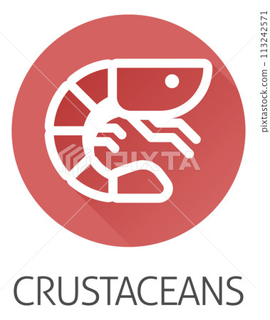 Prawn Shrimp Crustacean Food Allergen Allergy Icon - Stock Illustration ...
