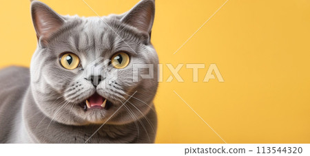 Ginger cat with mouth open looking shocked,... - Stock Illustration ...