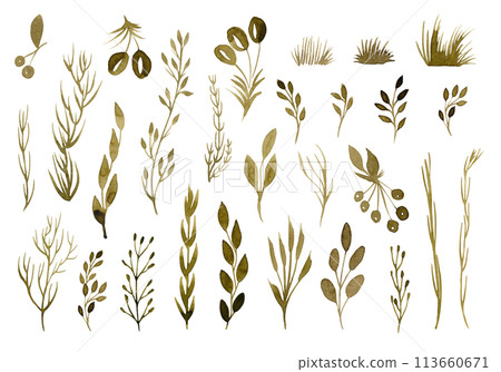 A large set of blades of grass, hummocks,...-插圖素材 [113660671] - PIXTA圖庫