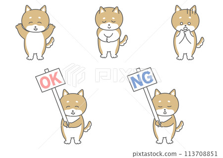 Cute Shiba Inu 5 types of pose set - Stock Illustration [113708851] - PIXTA