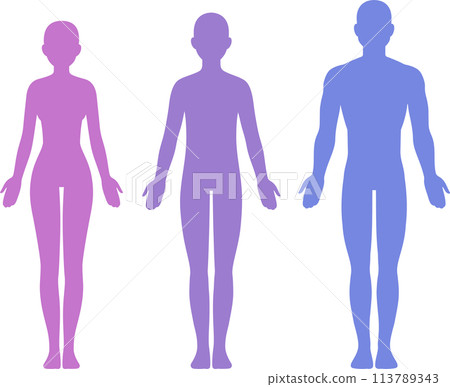 Male, female and unisex body silhouette - Stock Illustration [113789343 ...