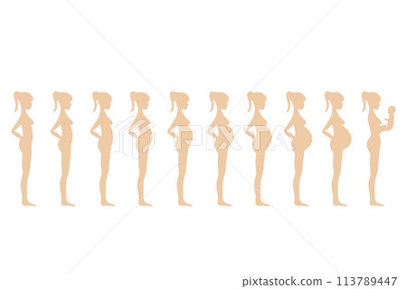 Stage pregnancy. Stage trimester pregnant... - Stock Illustration ...