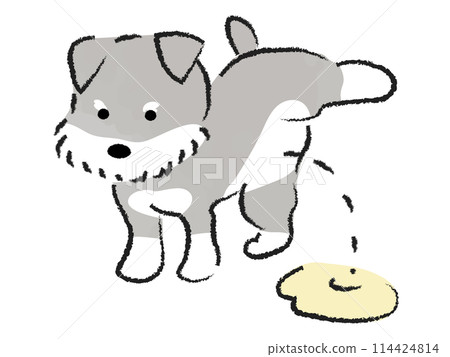 Schnauzer dog lifting leg to pee - Stock Illustration [114424814] - PIXTA