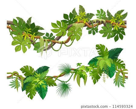 Cartoon Jungle Vines