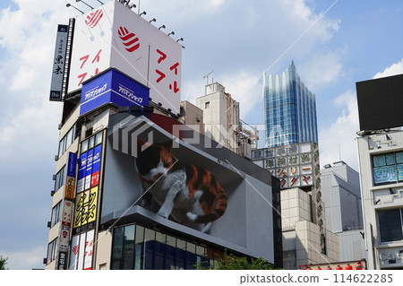 Kabukicho Tower and a giant 3D cat July... - Stock Photo [114622285 ...