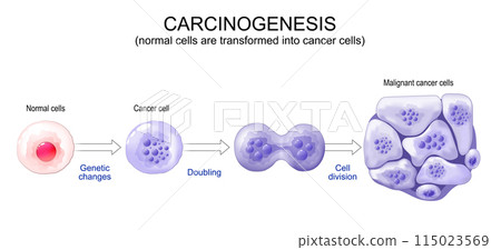 Cancer Cell Mutation Diagram
