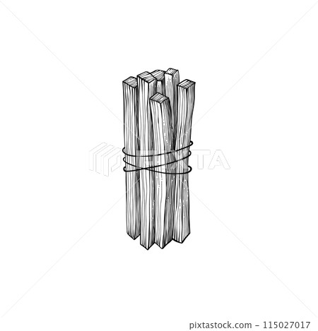 Palo Sebo Drawing
