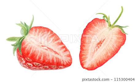 Red strawberry half, slice hand drawn... - Stock Illustration ...