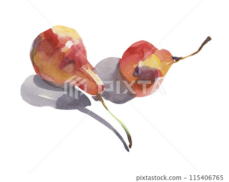 Watercolor pears with shadows. - Stock Illustration [115406765] - PIXTA