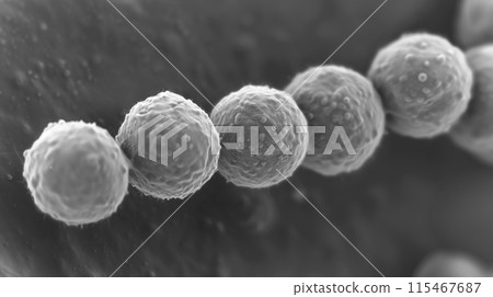 Image of streptococcus bacteria taken under an... - Stock Illustration ...