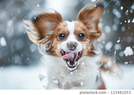 Happy Papillon dog running through snow,... - Stock Illustration ...