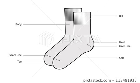 Diagrams of socks parts with text names.... - Stock Illustration ...